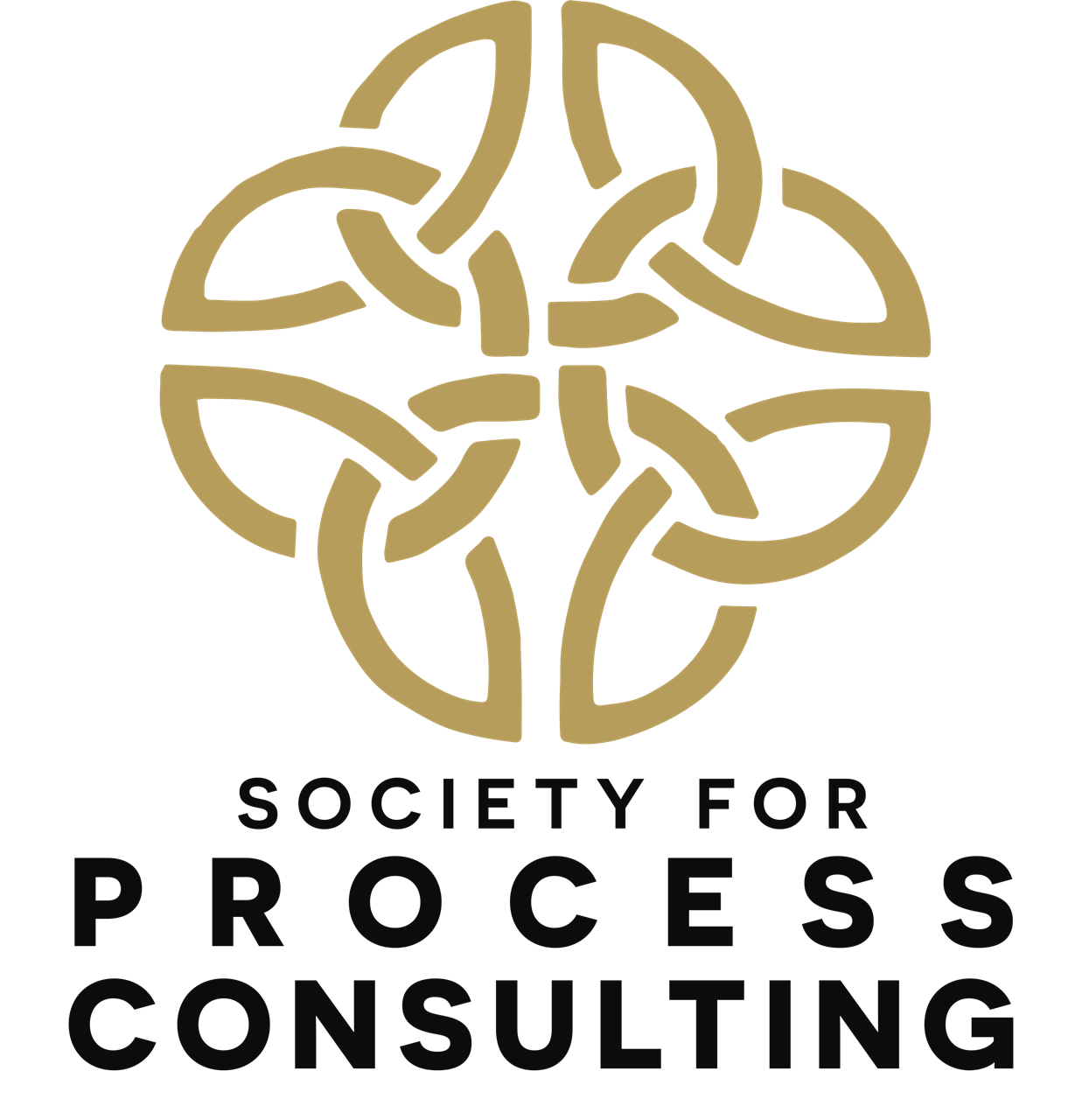 What is Process Consulting?